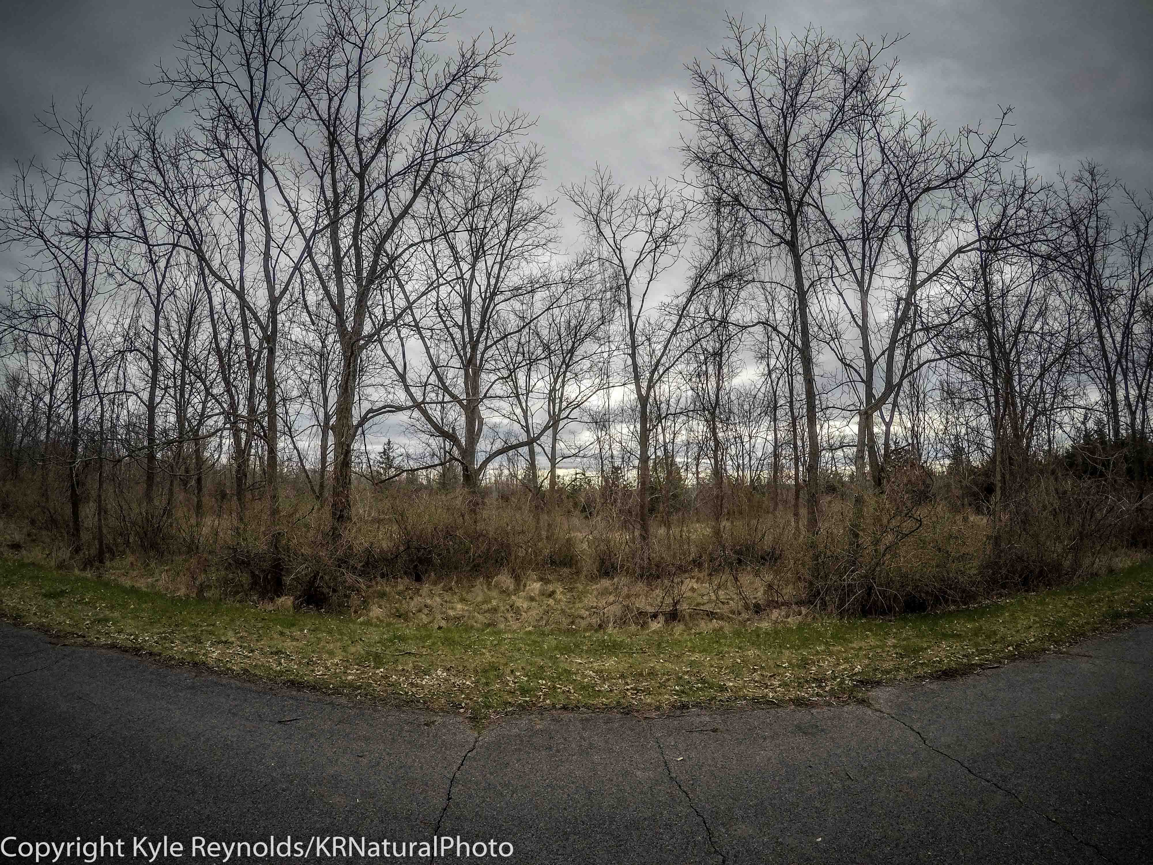 2018 Seneca 7 - krnaturalphoto's Blog