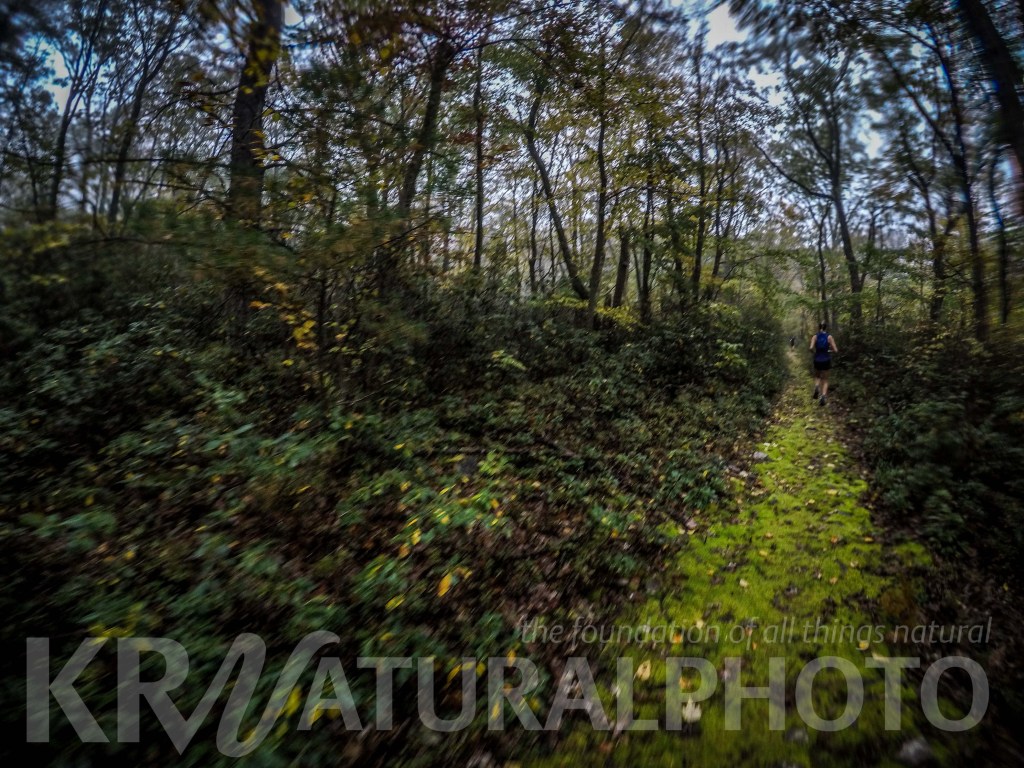 2021 Green Monster 25k | Trail Race | Pennsylvania - krnaturalphoto's Blog